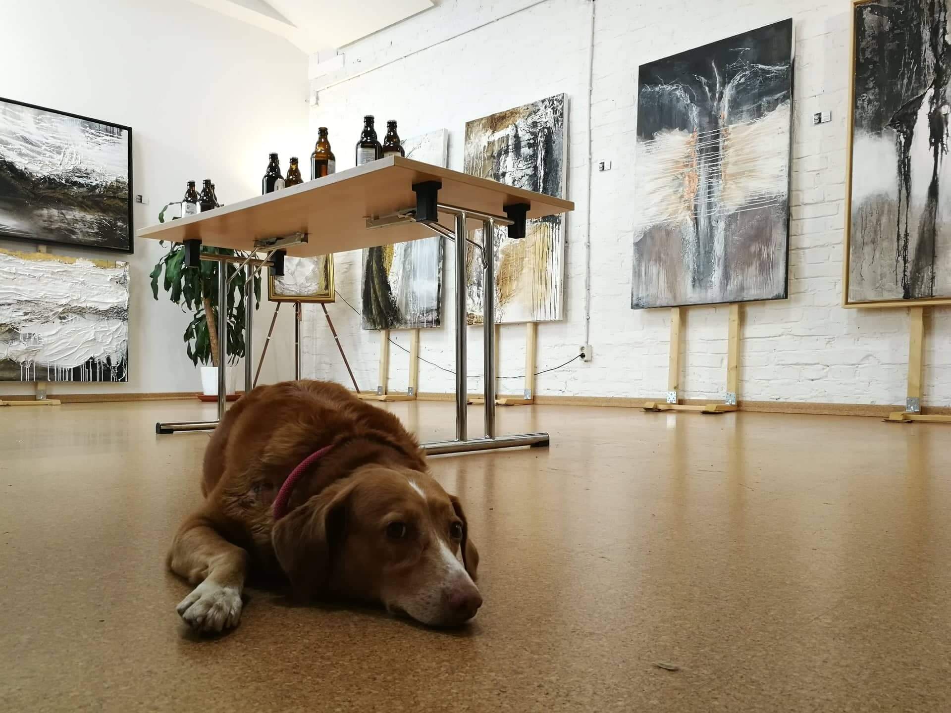 Nacht der schönen Künste 2019 Saarbrücken - © m-busch.art